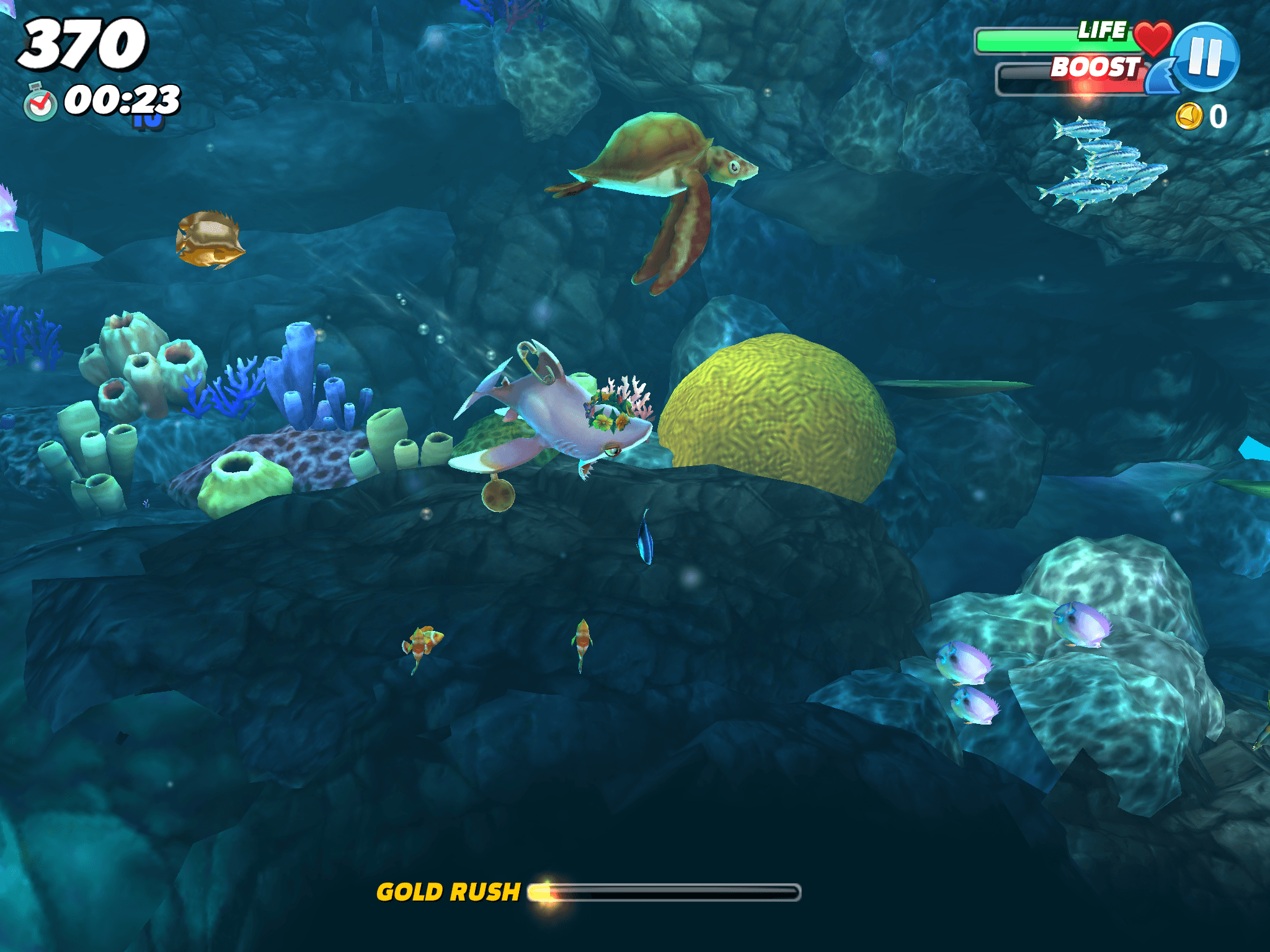 Hungry Shark Wallpapers - Top Free Hungry Shark Backgrounds ...