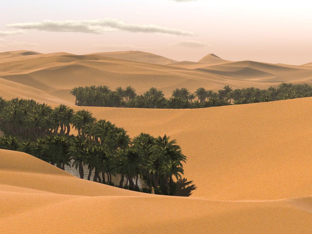 Desert Oasis Wallpapers - Top Free Desert Oasis Backgrounds ...