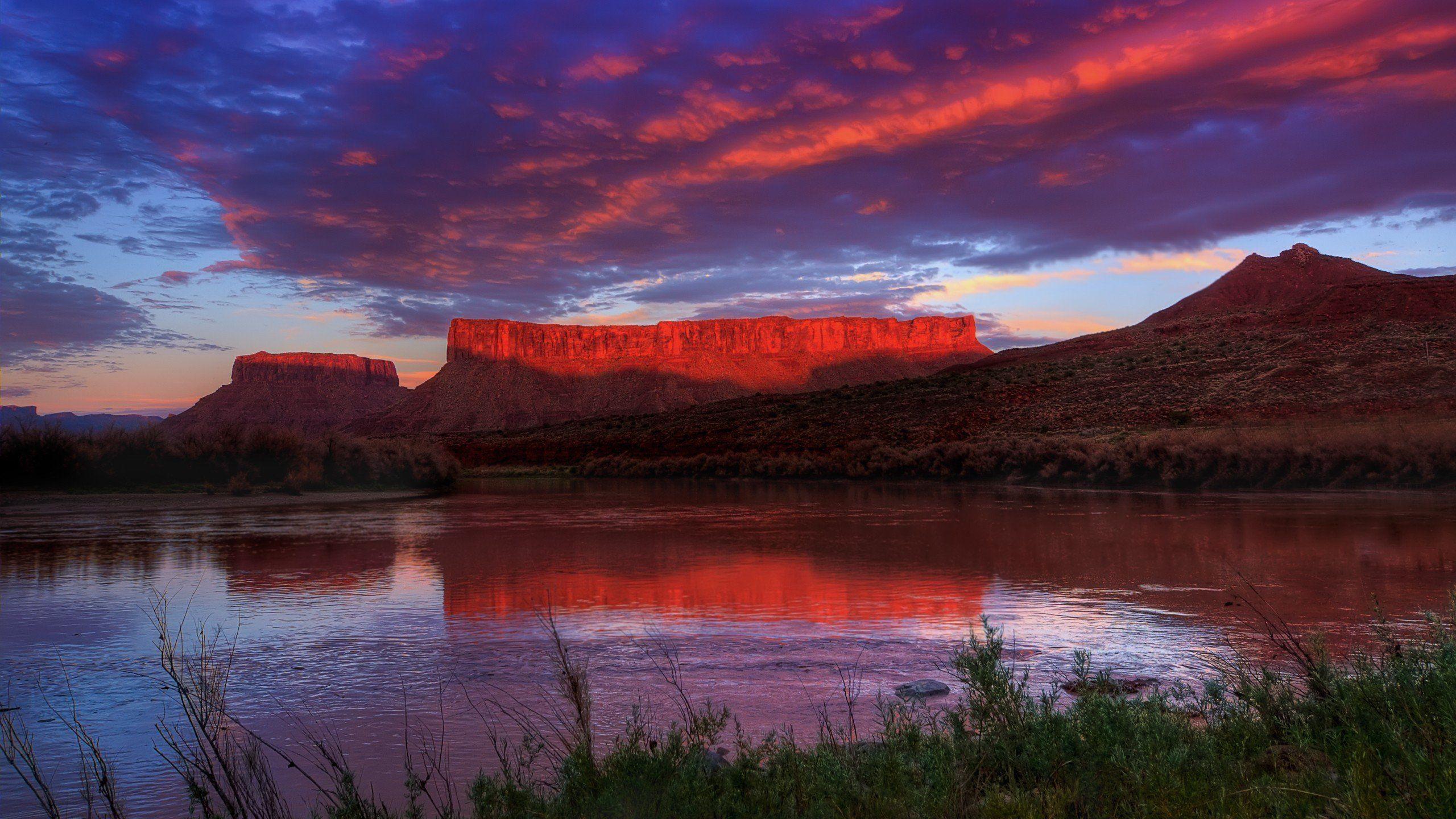 Desert Oasis Wallpapers - Top Free Desert Oasis Backgrounds ...