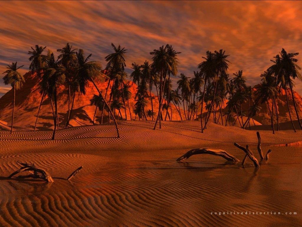 Desert Oasis Wallpapers - Top Free Desert Oasis Backgrounds ...