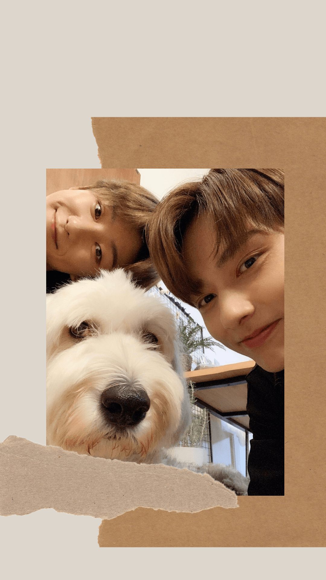 Minghao Wallpapers - Top Free Minghao Backgrounds - WallpaperAccess