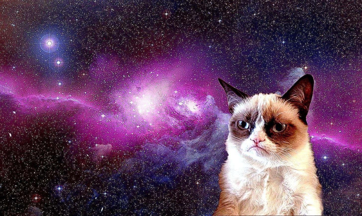 Cat Nebula Wallpapers - Top Free Cat Nebula Backgrounds - WallpaperAccess