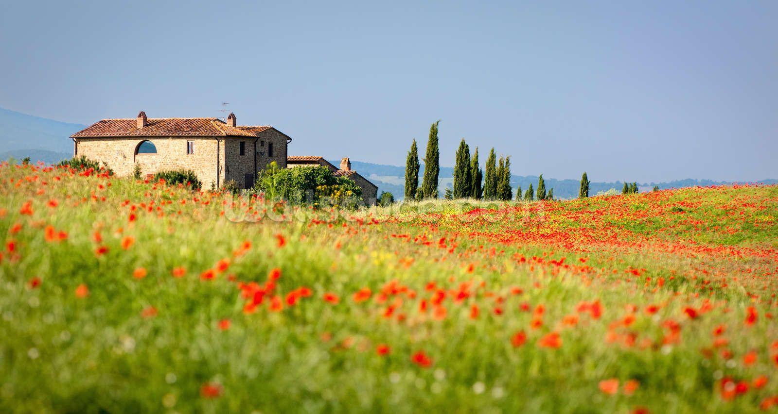 Italy Countryside Wallpapers - Top Free Italy Countryside Backgrounds ...