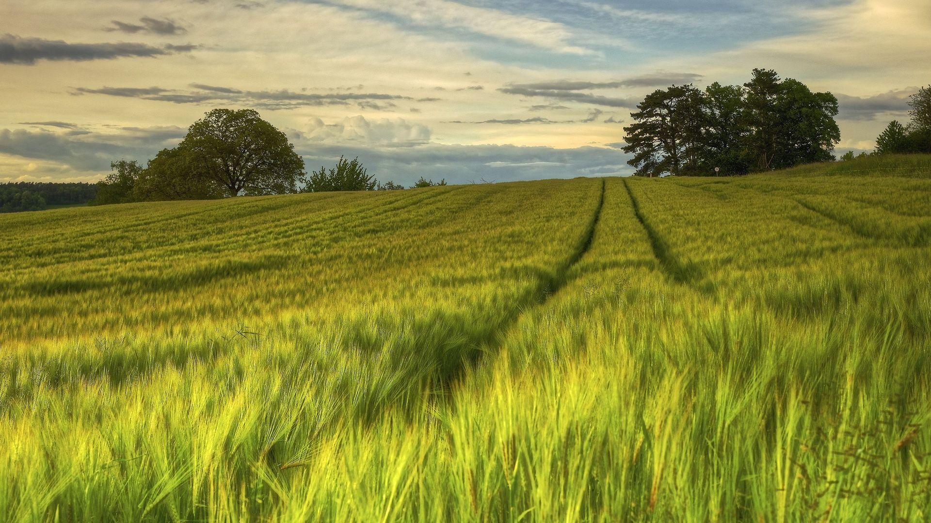 Summer Countryside Wallpapers - Top Free Summer Countryside Backgrounds ...