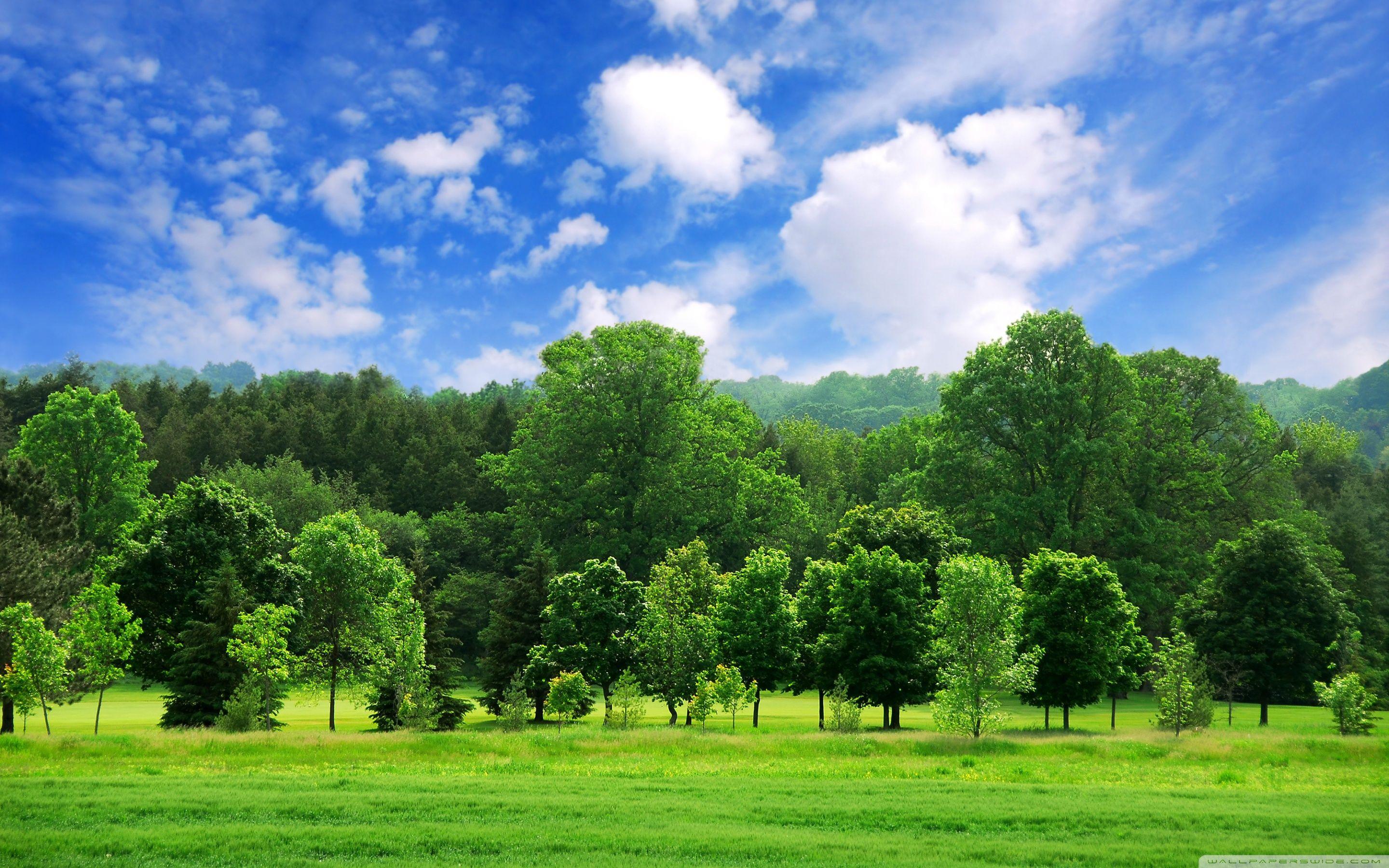 Summer Countryside Wallpapers - Top Free Summer Countryside Backgrounds ...