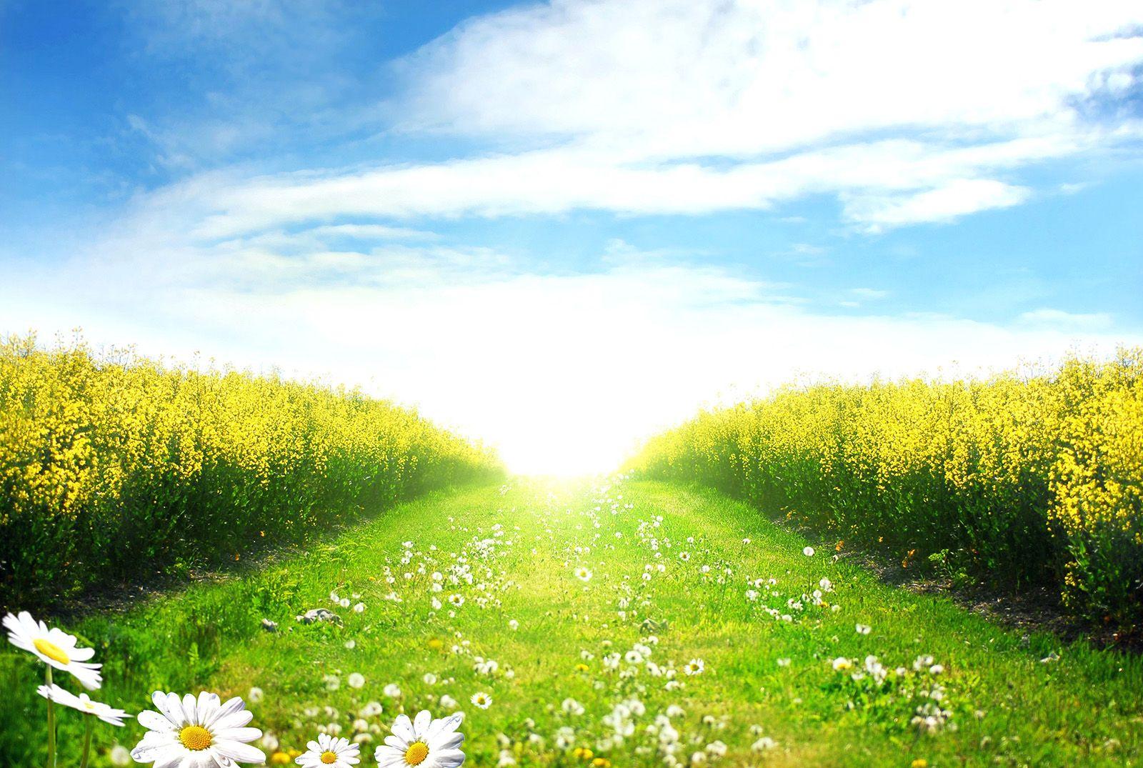Summer Countryside Wallpapers Top Free Summer Countryside Backgrounds Wallpaperaccess