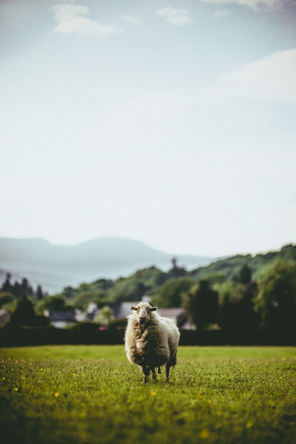 Welsh Countryside Wallpapers - Top Free Welsh Countryside Backgrounds ...