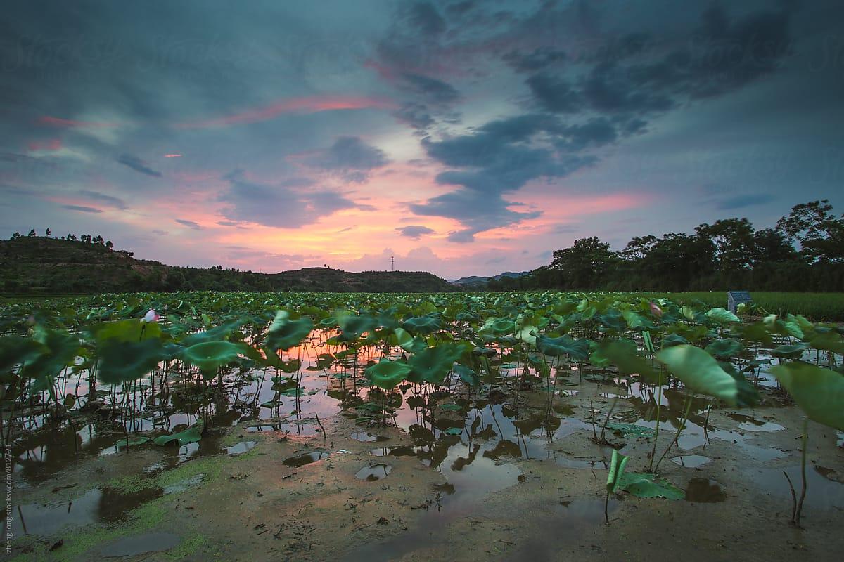Chinese Countryside Wallpapers - Top Free Chinese Countryside ...