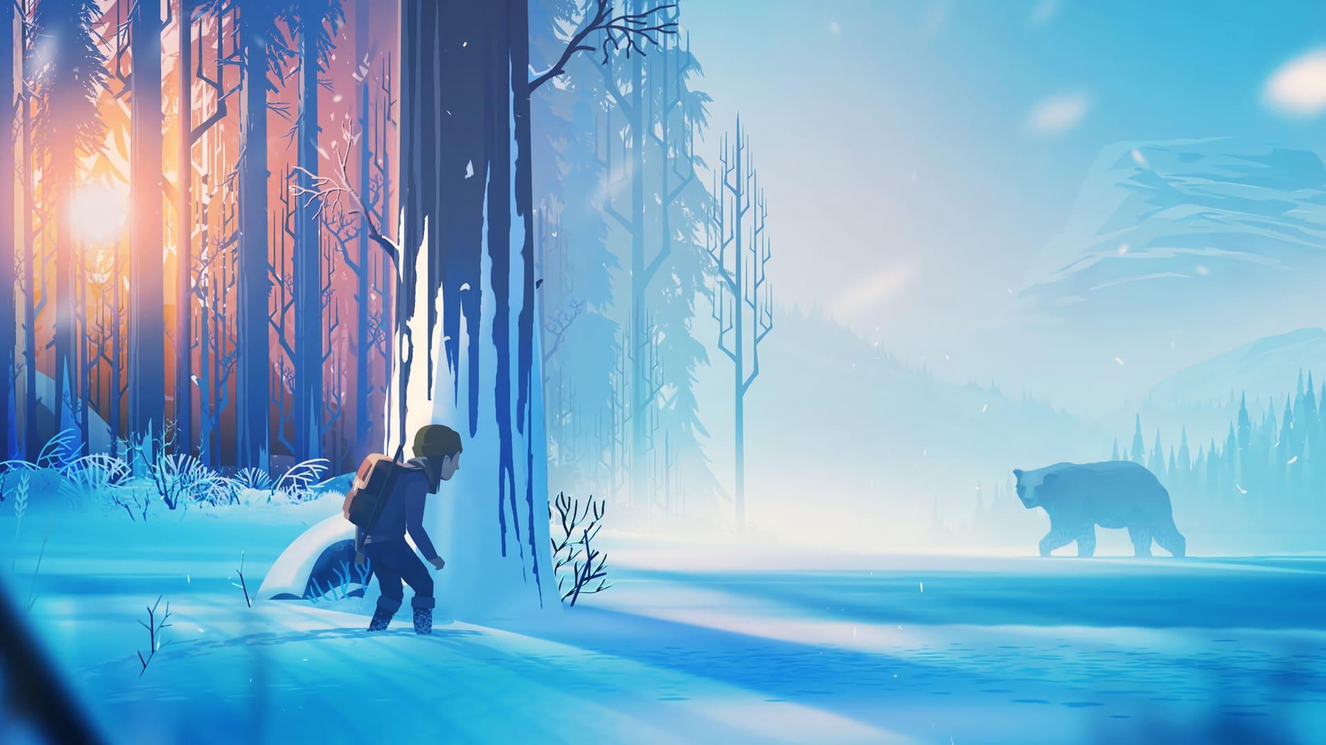 Bear Laptop Wallpapers - Top Free Bear Laptop Backgrounds - WallpaperAccess