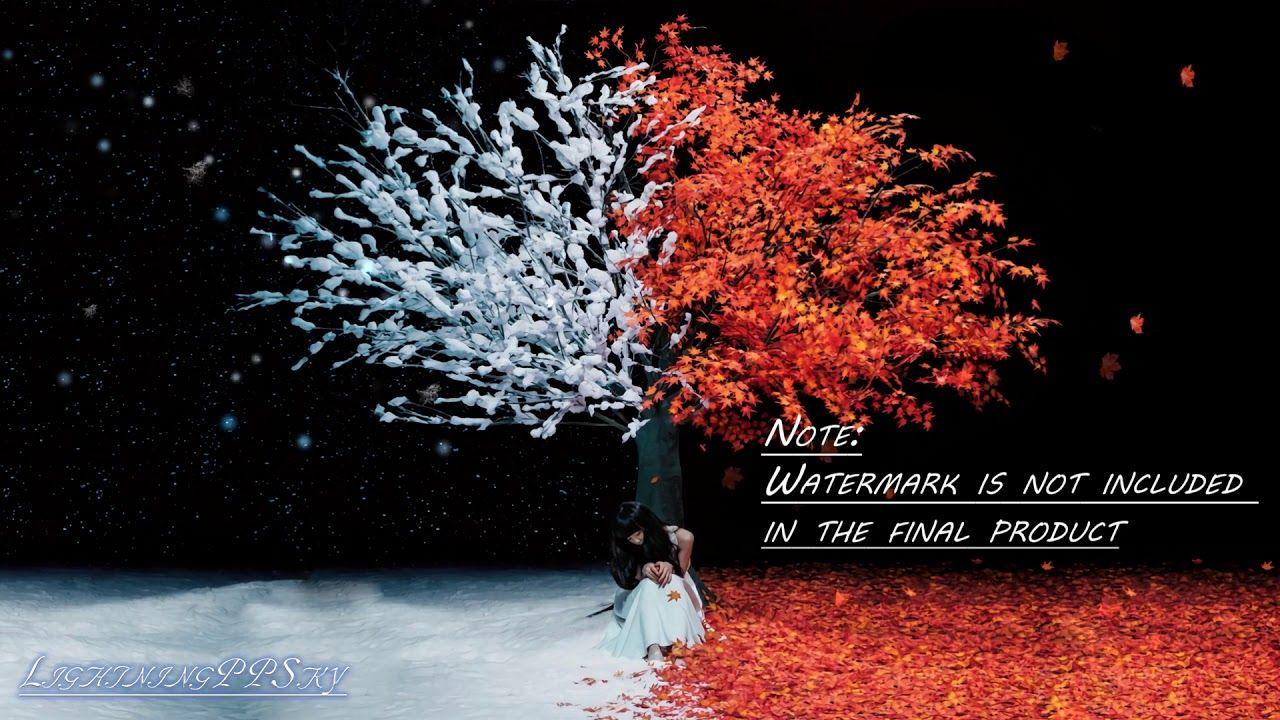 Aimer Wallpapers - Top Free Aimer Backgrounds - WallpaperAccess