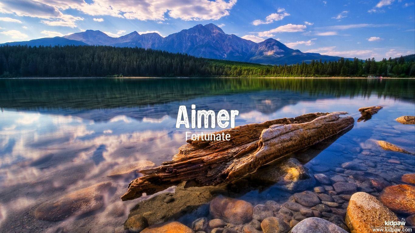 Aimer Wallpapers - Top Free Aimer Backgrounds - WallpaperAccess