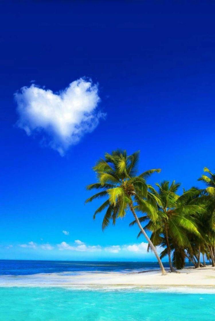 Vue.js Wallpapers - Top Free Vue.js Backgrounds - WallpaperAccess