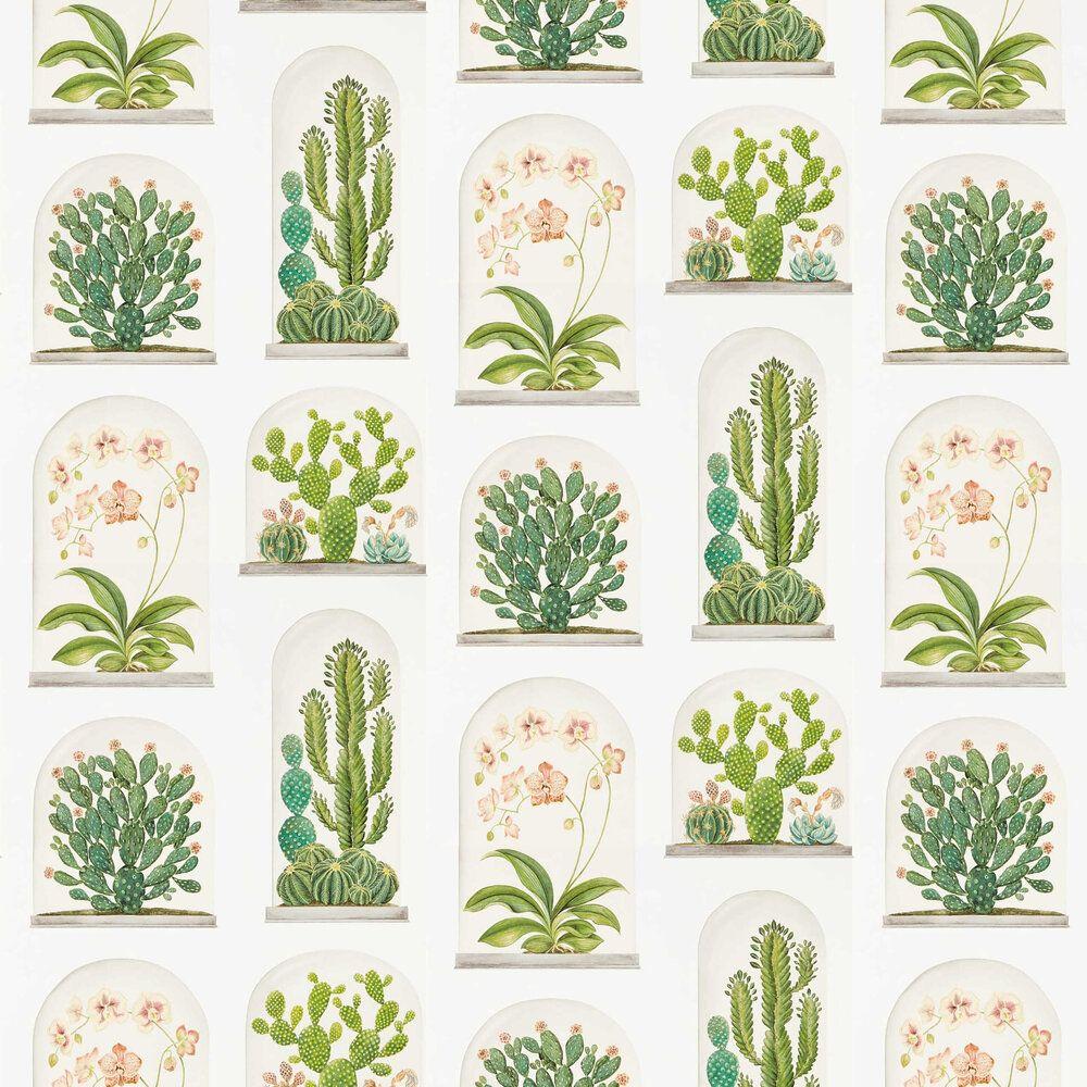 Terrarium Wallpapers - Top Free Terrarium Backgrounds - WallpaperAccess