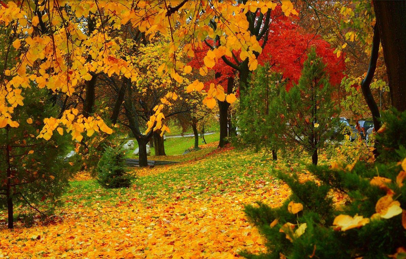Colorful Autumn Fall Wallpapers - Top Free Colorful Autumn Fall ...