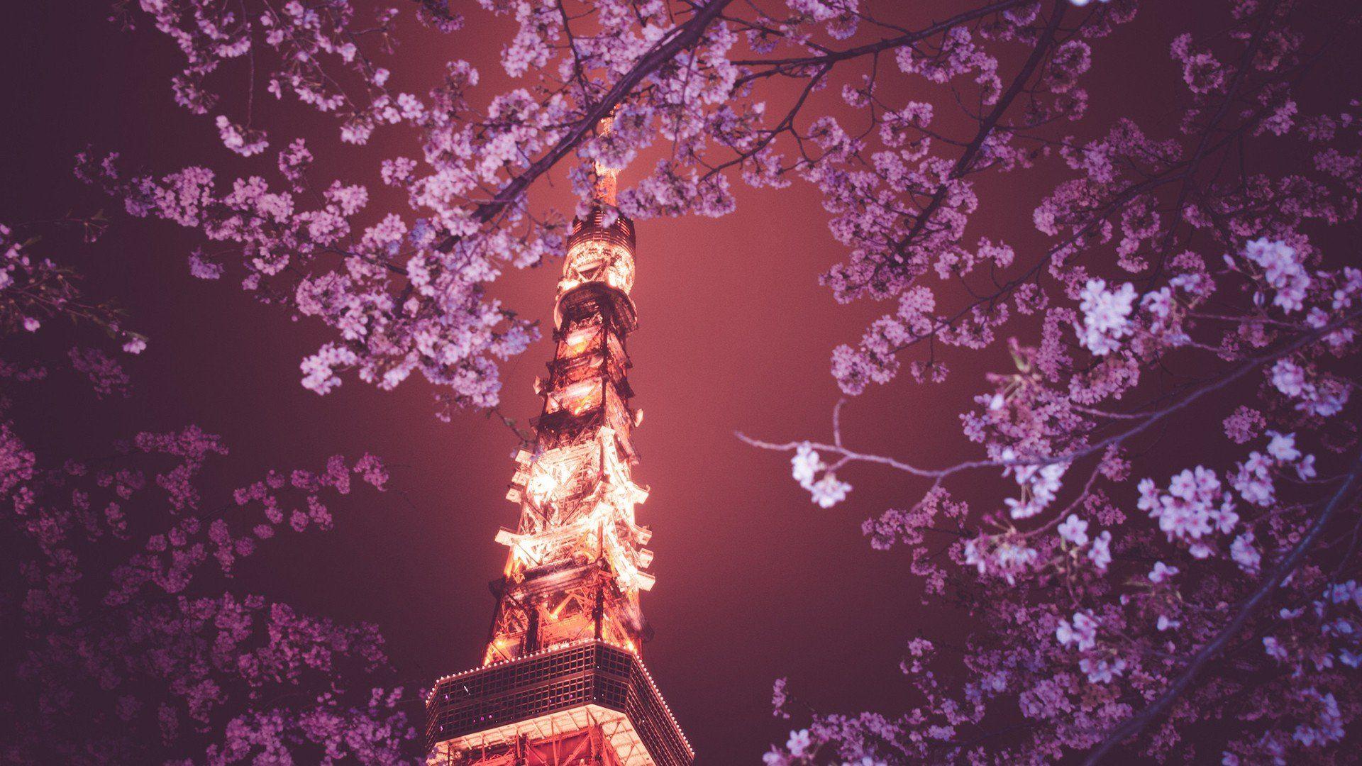 Tokyo Tower HD Wallpapers - Top Free Tokyo Tower HD Backgrounds ...