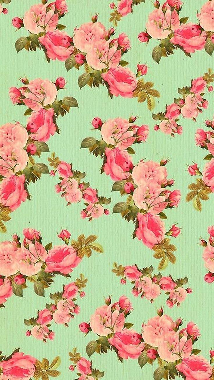 Cute Green Plants Wallpapers - Top Free Cute Green Plants Backgrounds ...