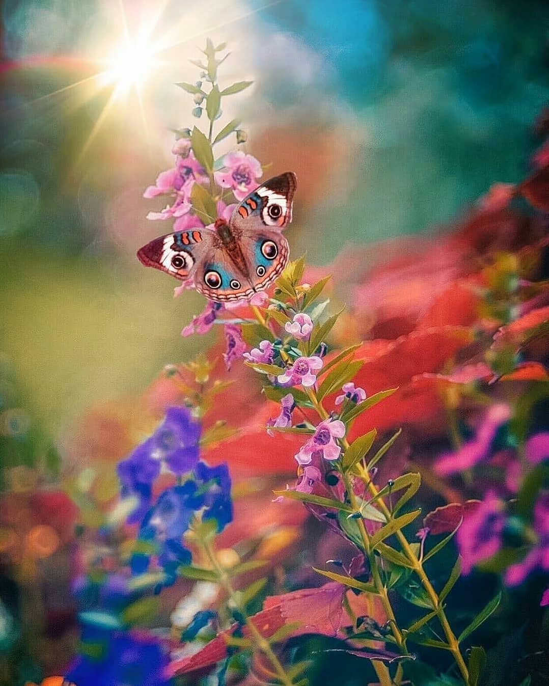 Beautiful Plant Wallpapers - Top Free Beautiful Plant Backgrounds ...