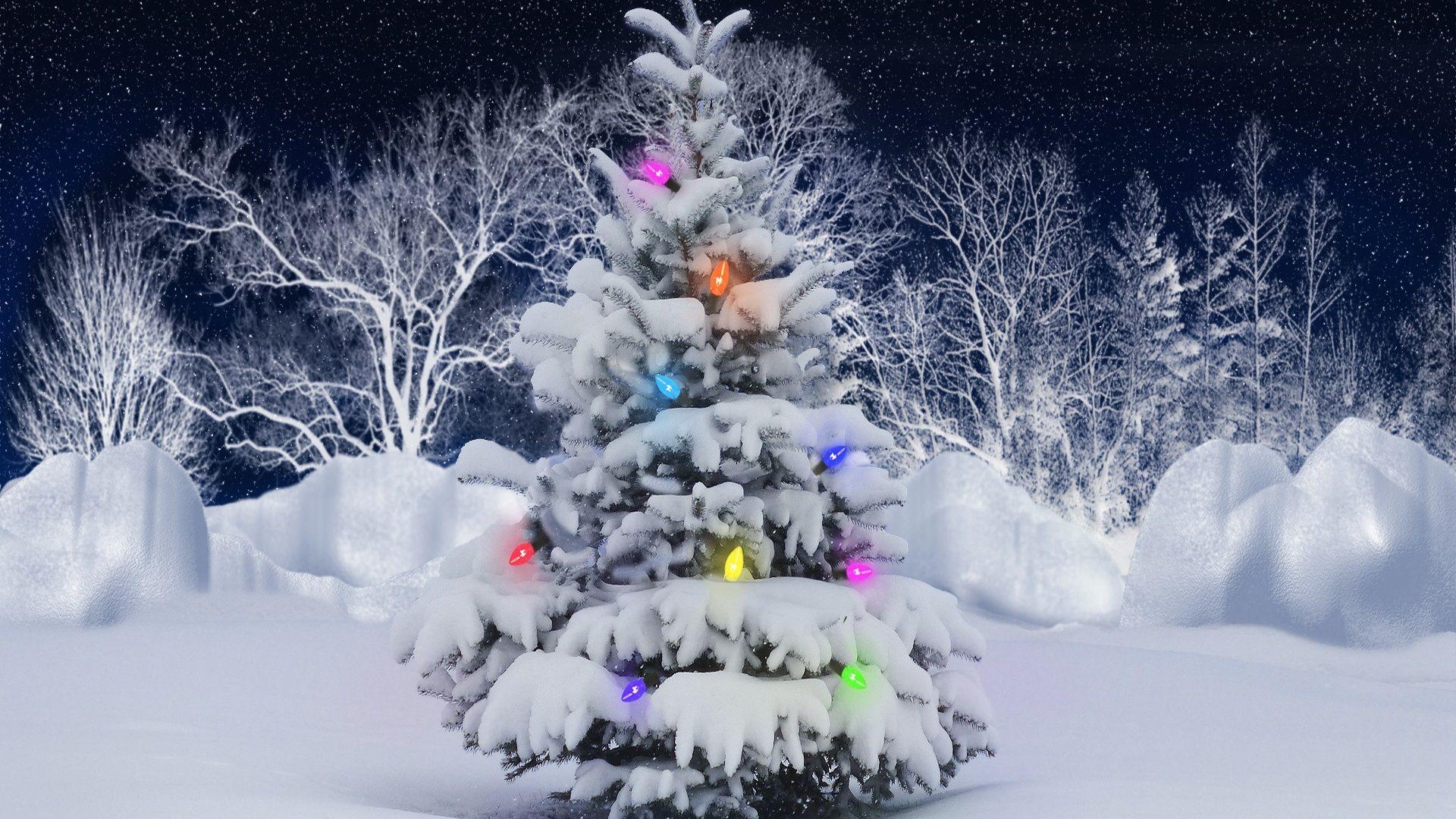 Christmas Tree Snow Wallpapers - Top Free Christmas Tree Snow ...