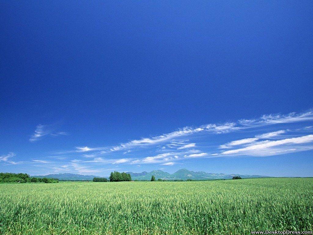 Field Sky Wallpapers - Top Free Field Sky Backgrounds - WallpaperAccess