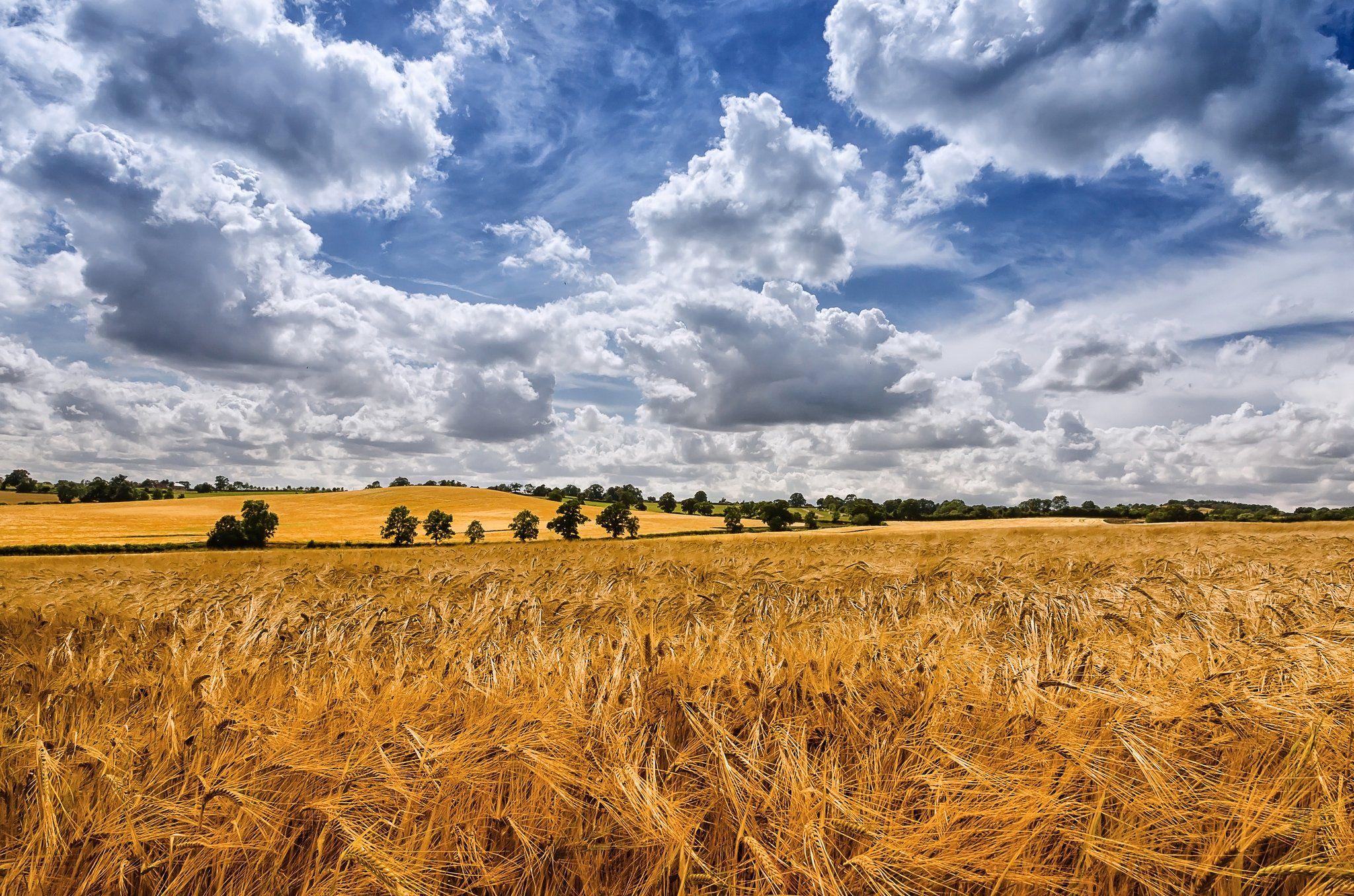 Field Sky Wallpapers - Top Free Field Sky Backgrounds - WallpaperAccess
