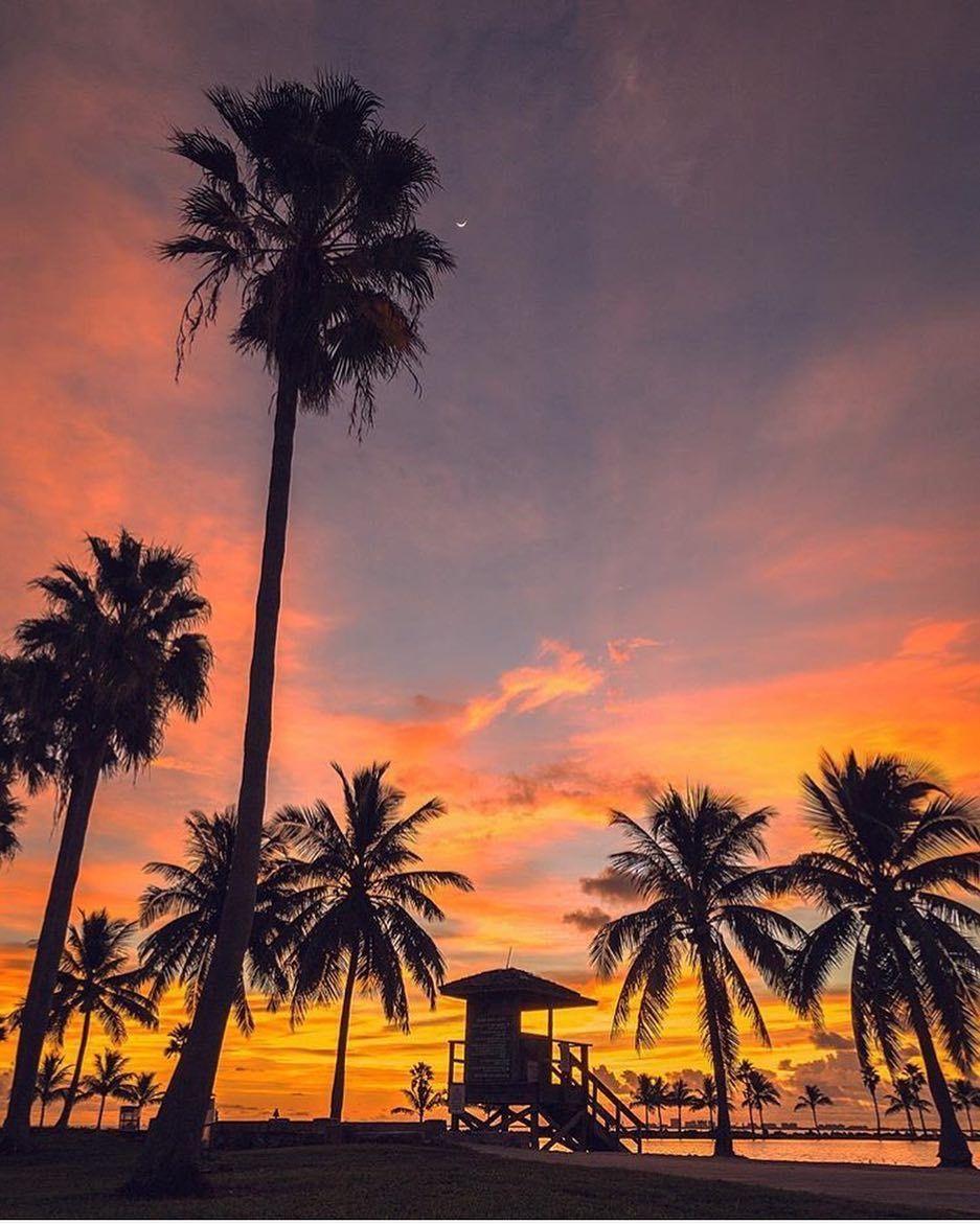 Miami Beach Sunset Wallpapers - Top Free Miami Beach Sunset Backgrounds ...