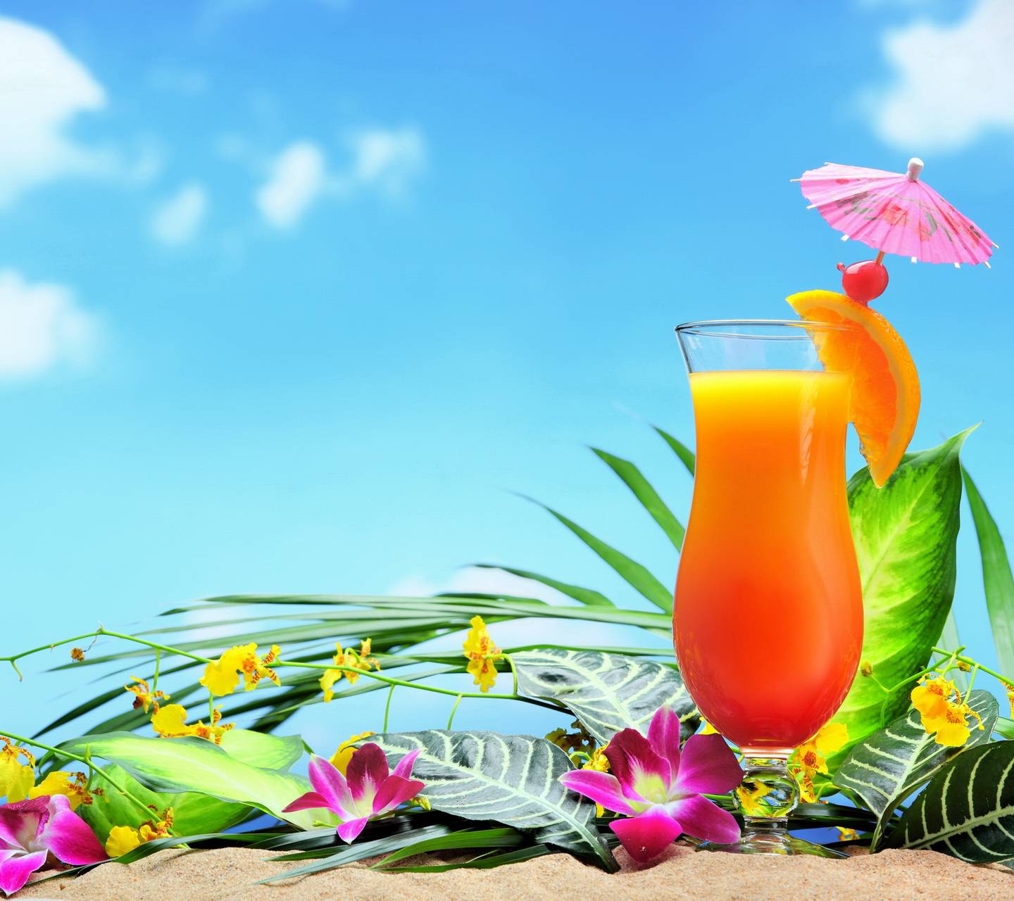 Tropical Drink Wallpapers - Top Free Tropical Drink Backgrounds ...