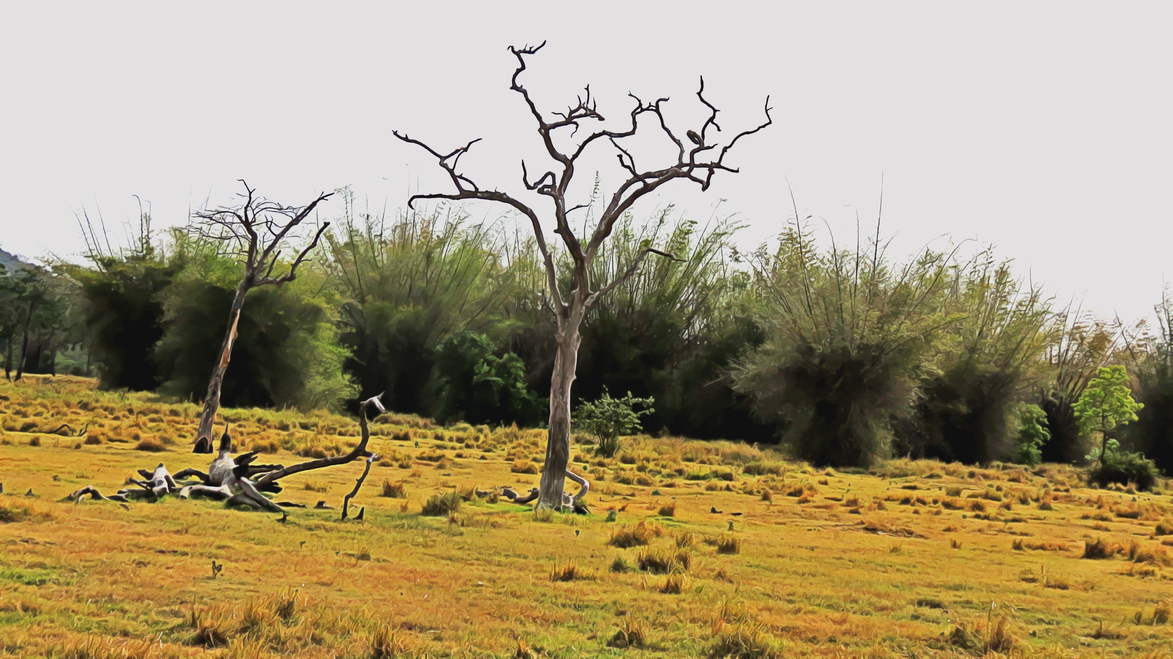 Drought Wallpapers - Top Free Drought Backgrounds - WallpaperAccess