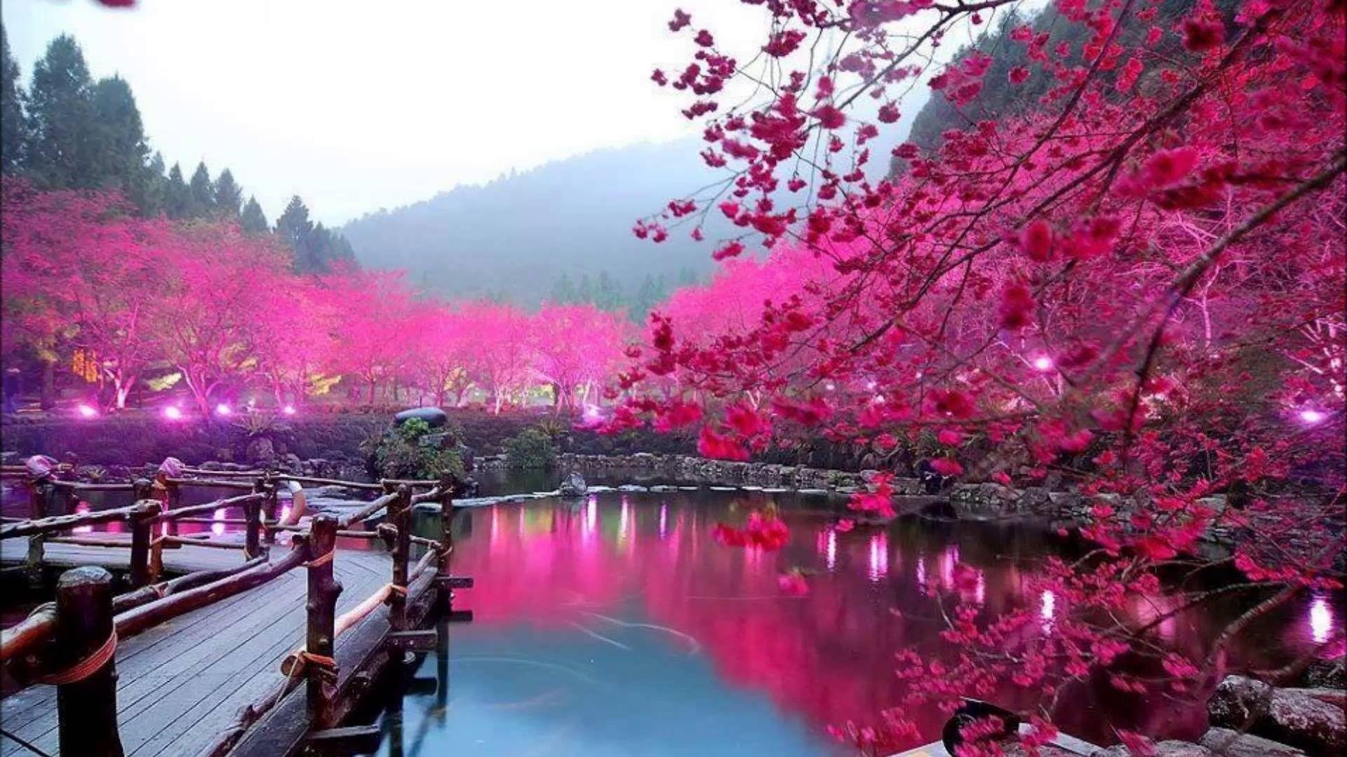 1920x1080 Japan Wallpapers - Top Free 1920x1080 Japan Backgrounds ...