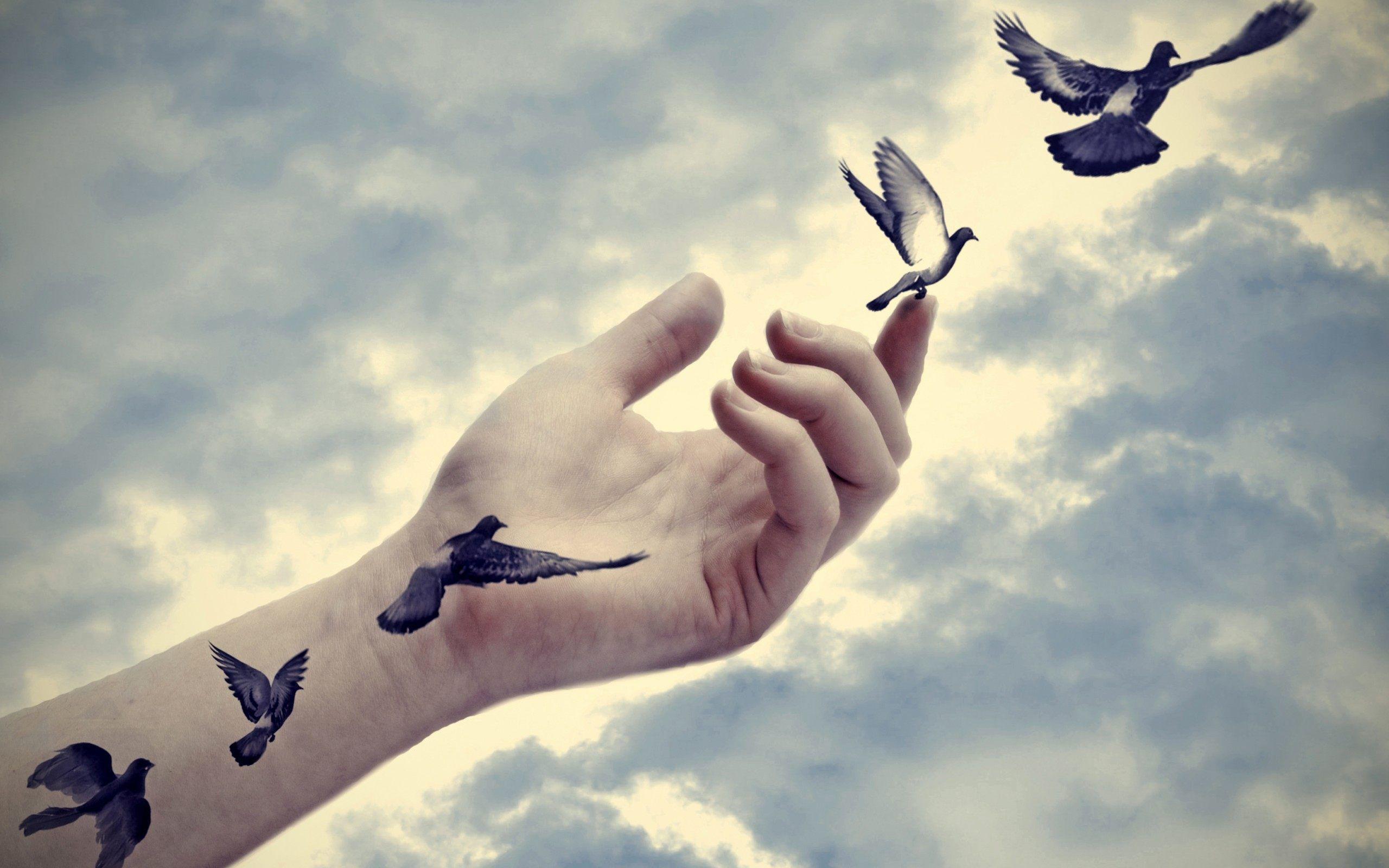 Let Go Wallpapers - Top Free Let Go Backgrounds - WallpaperAccess