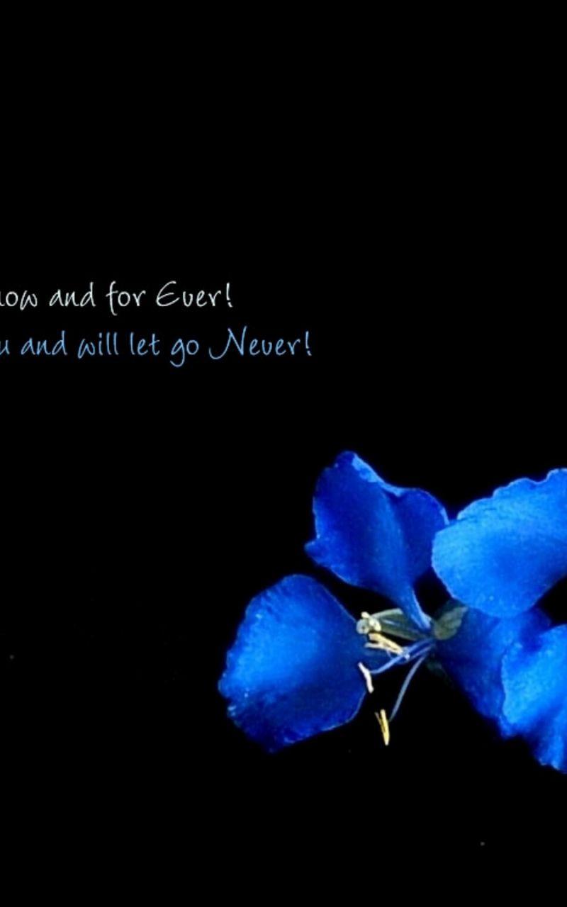 Let Go Wallpapers - Top Free Let Go Backgrounds - WallpaperAccess