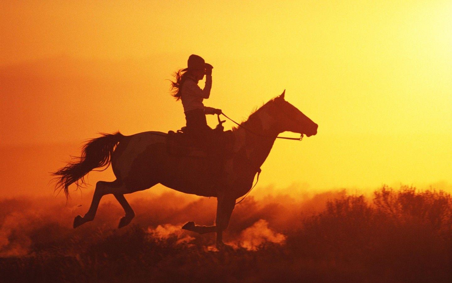Horse Riding Wallpapers - Top Free Horse Riding Backgrounds ...