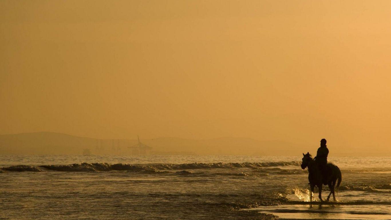 Horse Riding Wallpapers - Top Free Horse Riding Backgrounds ...