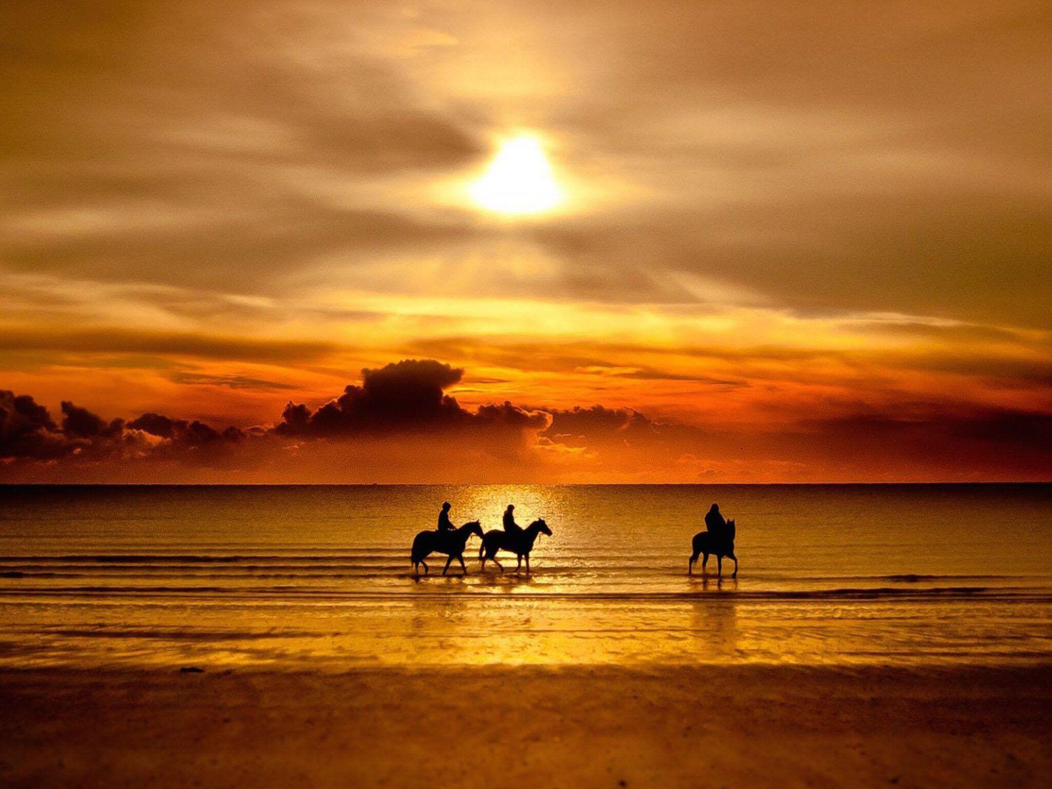 Horse Riding Wallpapers - Top Free Horse Riding Backgrounds ...