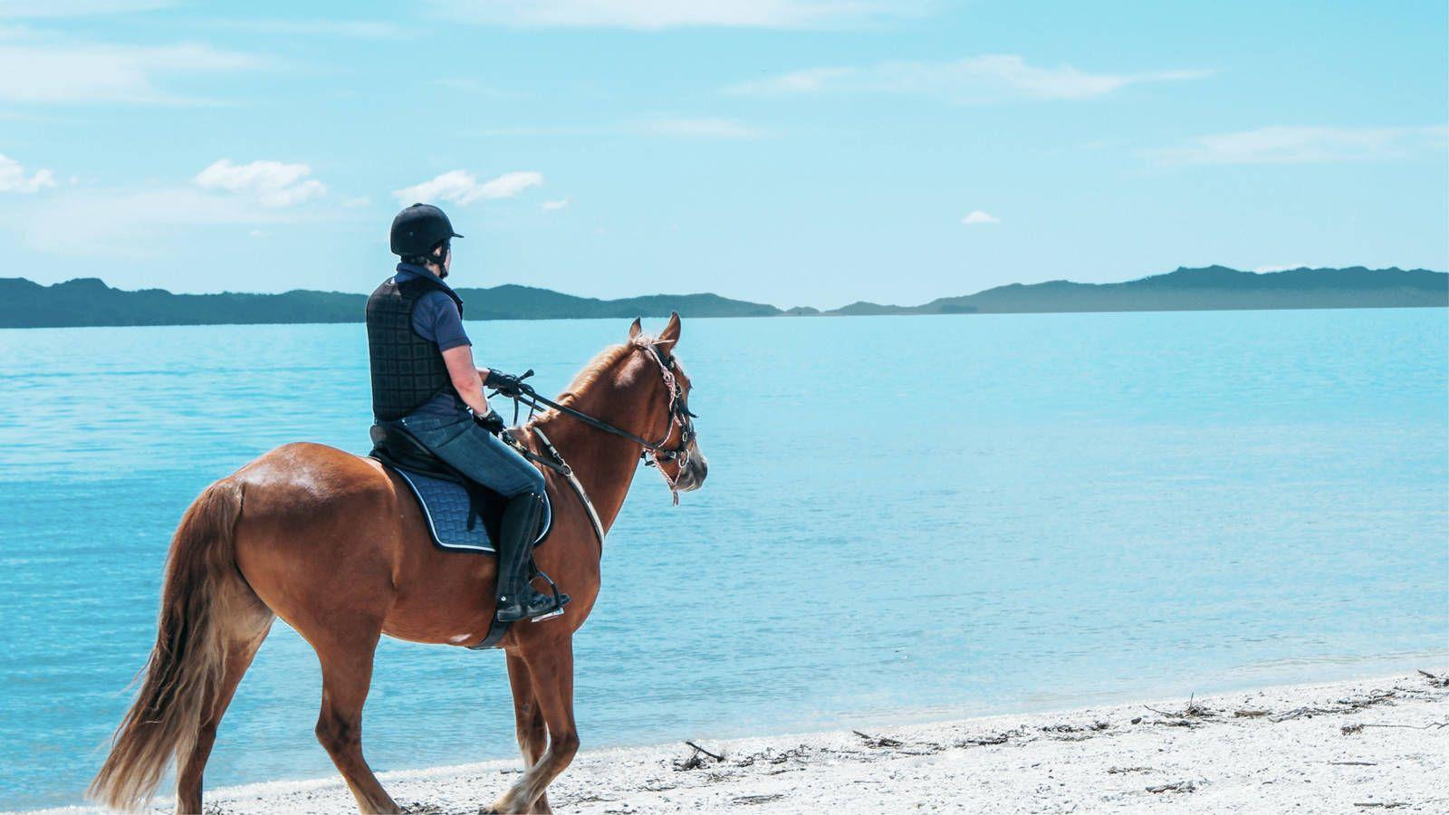 Horse Riding Wallpapers - Top Free Horse Riding Backgrounds ...