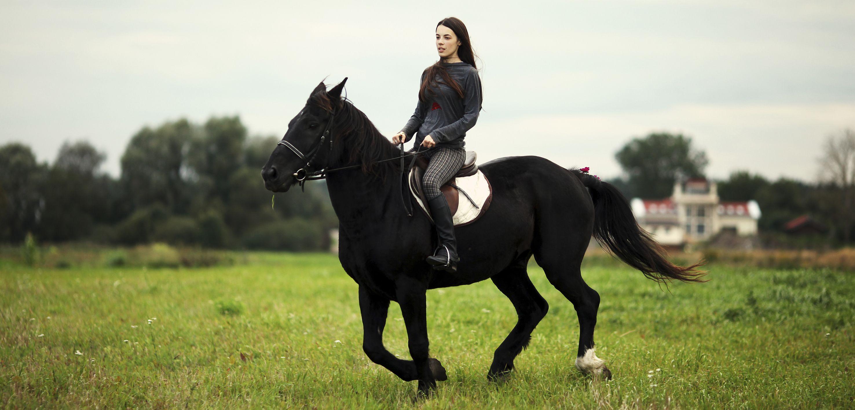 Horse Riding Wallpapers - Top Free Horse Riding Backgrounds ...