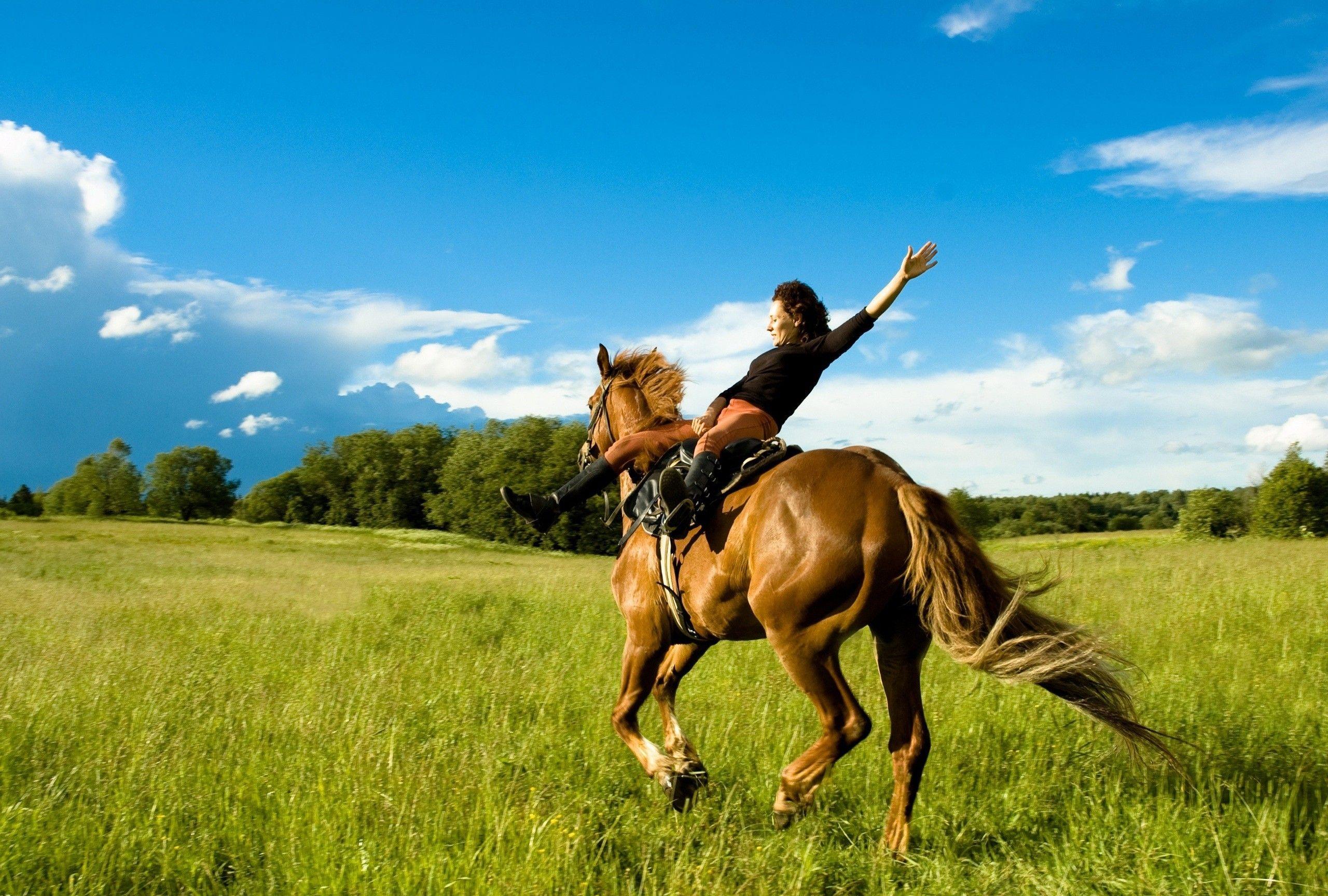Horse Riding Wallpapers - Top Free Horse Riding Backgrounds ...