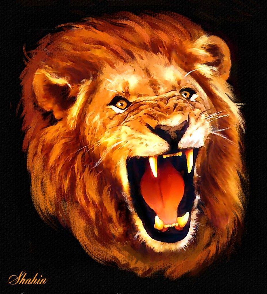 Lion Head Wallpapers - Top Free Lion Head Backgrounds - WallpaperAccess