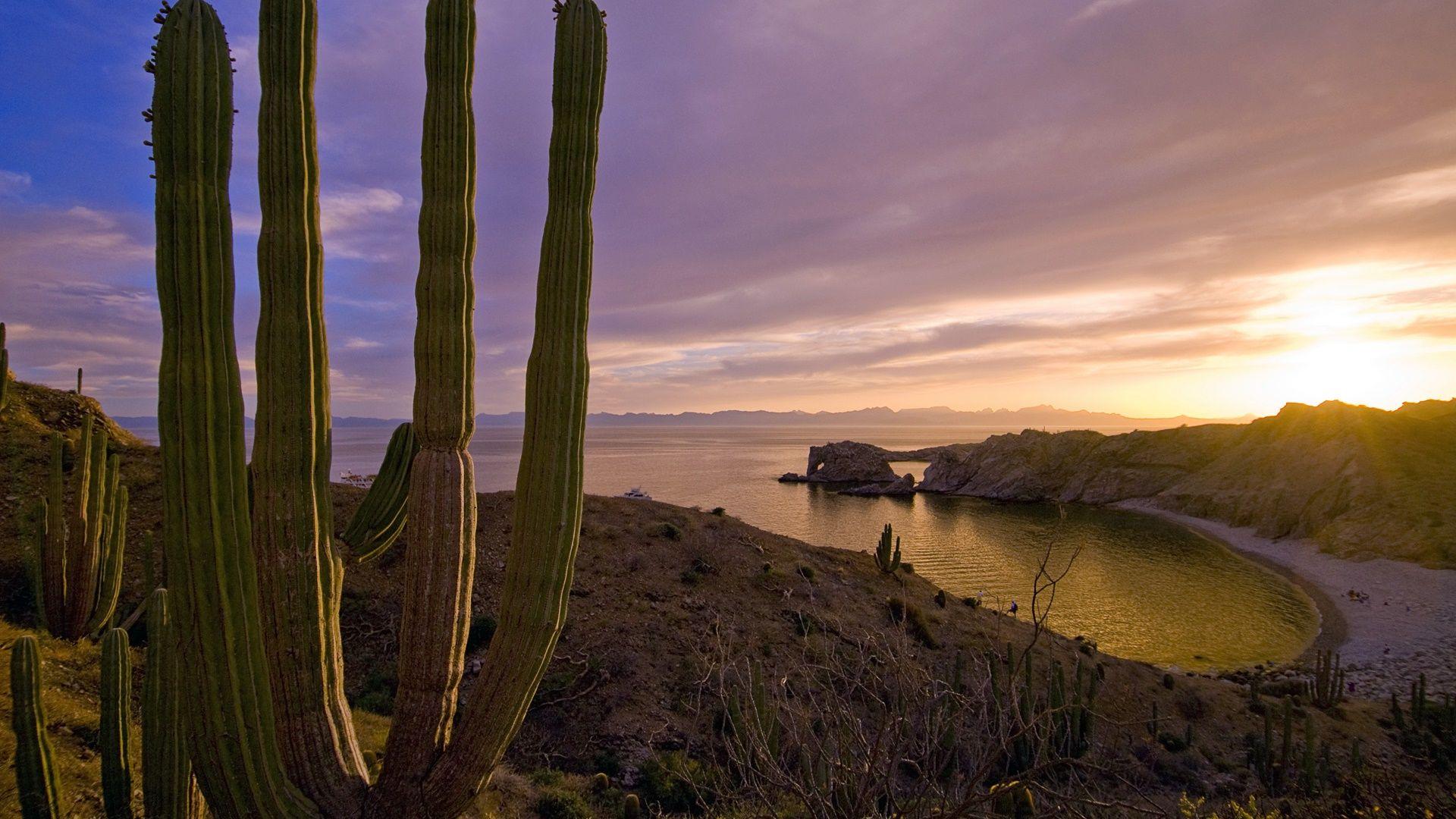 Santa Catalina Island Wallpapers - Top Free Santa Catalina Island ...
