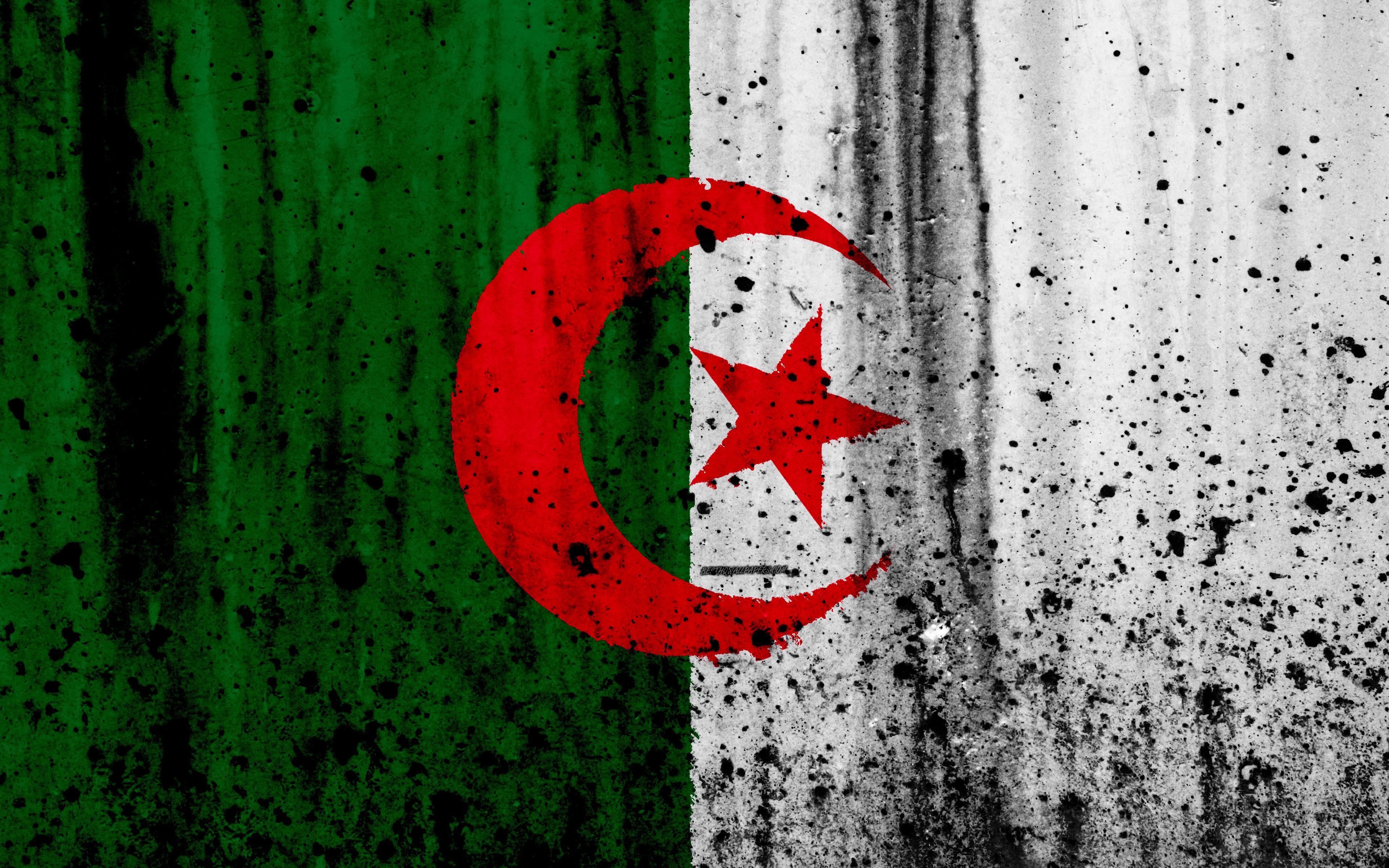 Algeria Flag Wallpapers - Top Free Algeria Flag Backgrounds ...