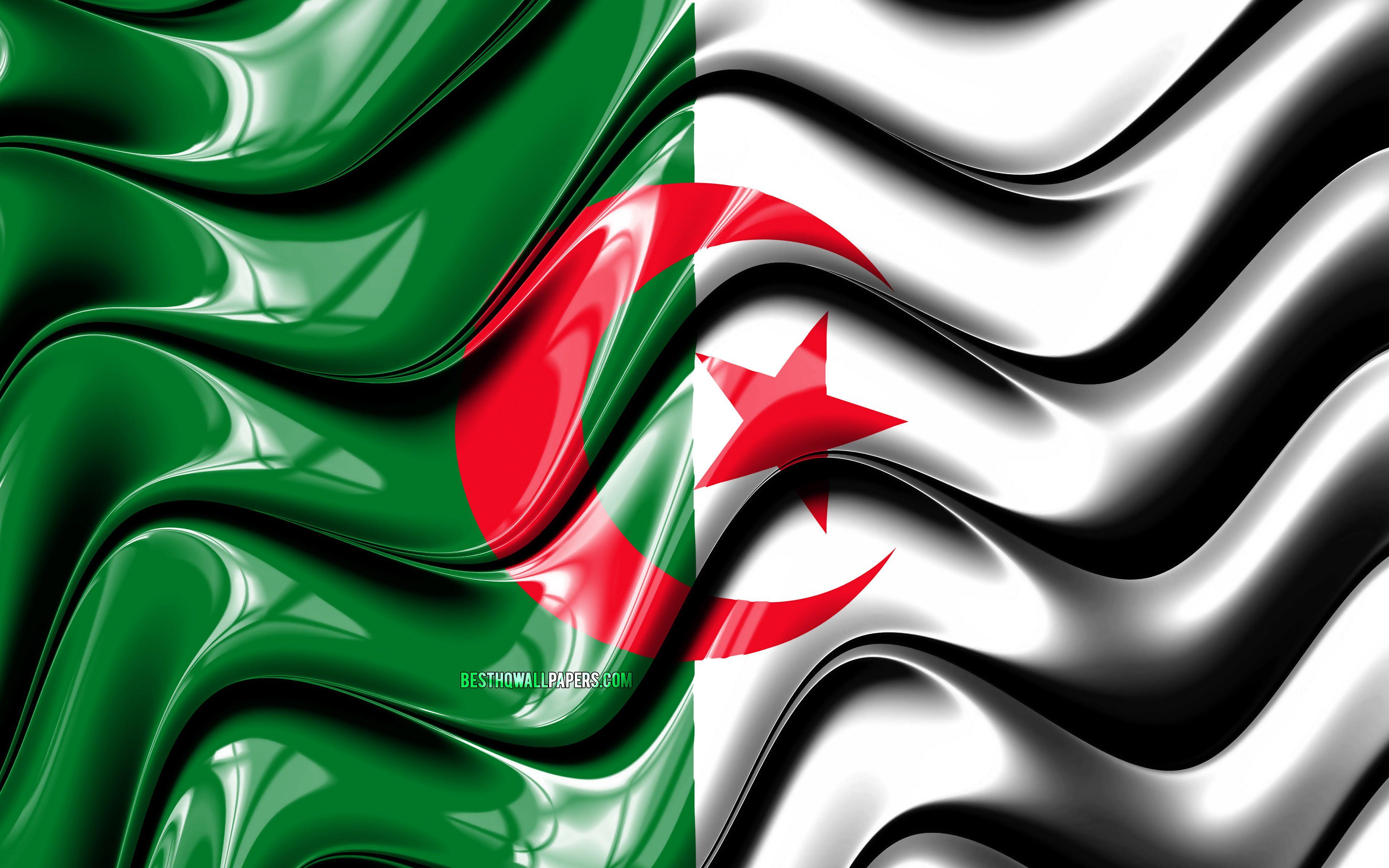 Algeria Flag Wallpapers - Top Free Algeria Flag Backgrounds ...