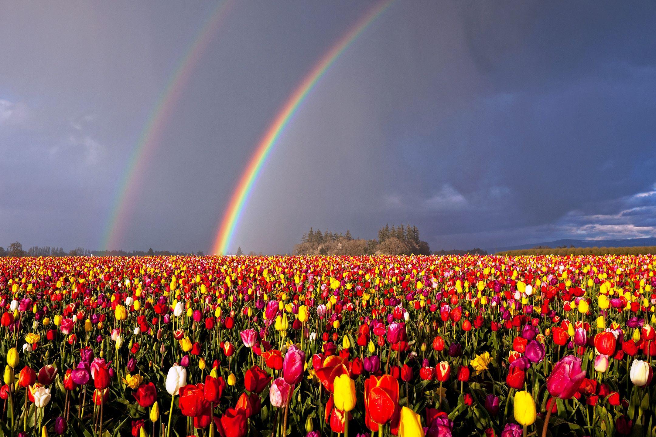 Beautiful Rainbow Wallpapers - Top Free Beautiful Rainbow Backgrounds ...