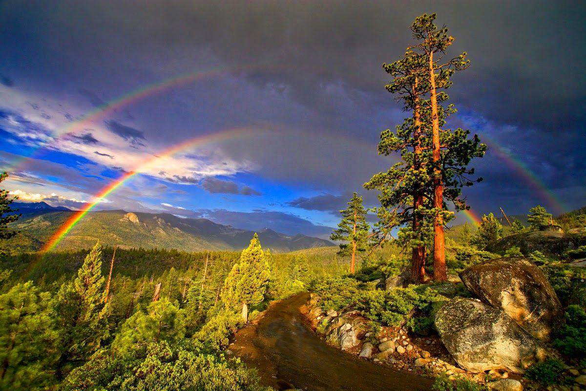 Beautiful Rainbow Wallpapers - Top Free Beautiful Rainbow Backgrounds ...