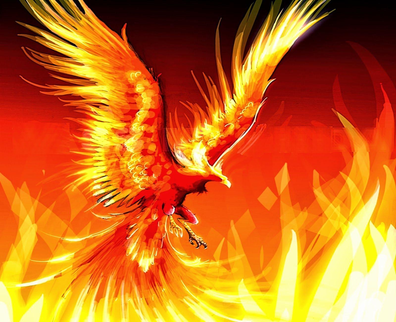 Cool Flame Wallpapers - Top Free Cool Flame Backgrounds - WallpaperAccess