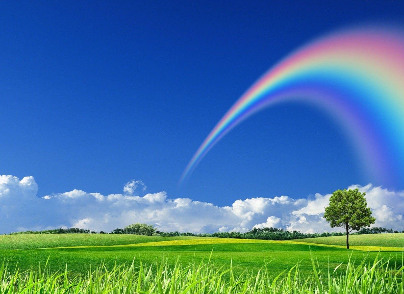 Rainbow Nature Wallpapers - Top Free Rainbow Nature Backgrounds ...