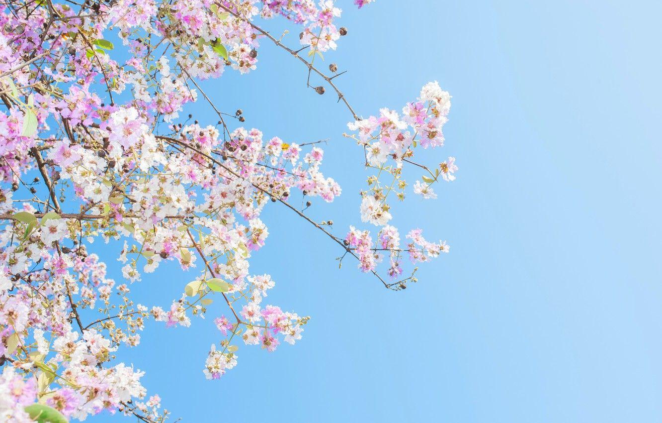 Spring Sunshine Wallpapers - Top Free Spring Sunshine Backgrounds ...