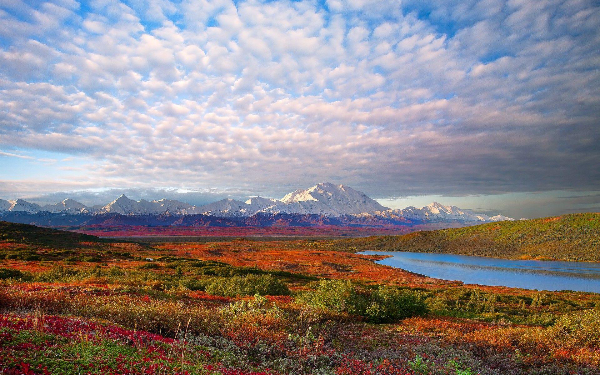 Denali National Park 4K Wallpapers - Top Free Denali National Park 4K ...