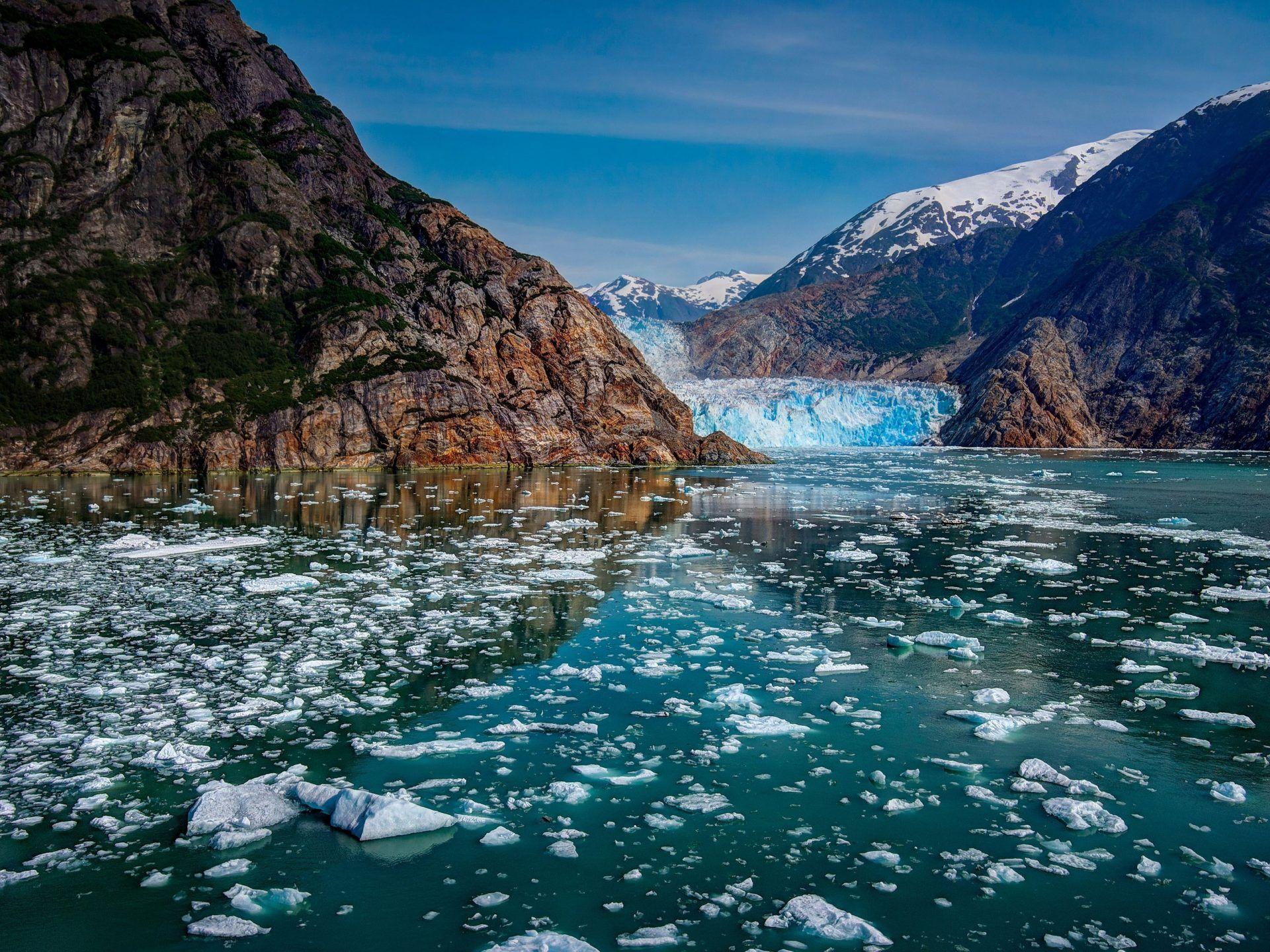 Denali National Park 4K Wallpapers - Top Free Denali National Park 4K ...