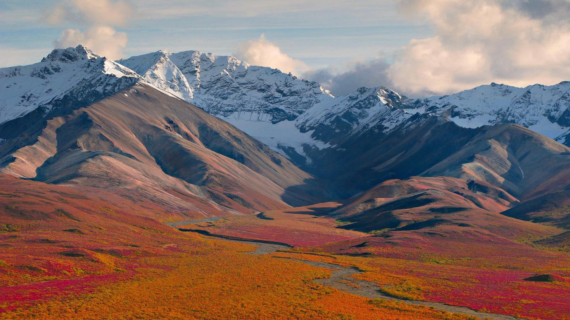 Denali National Park 4K Wallpapers - Top Free Denali National Park 4K ...