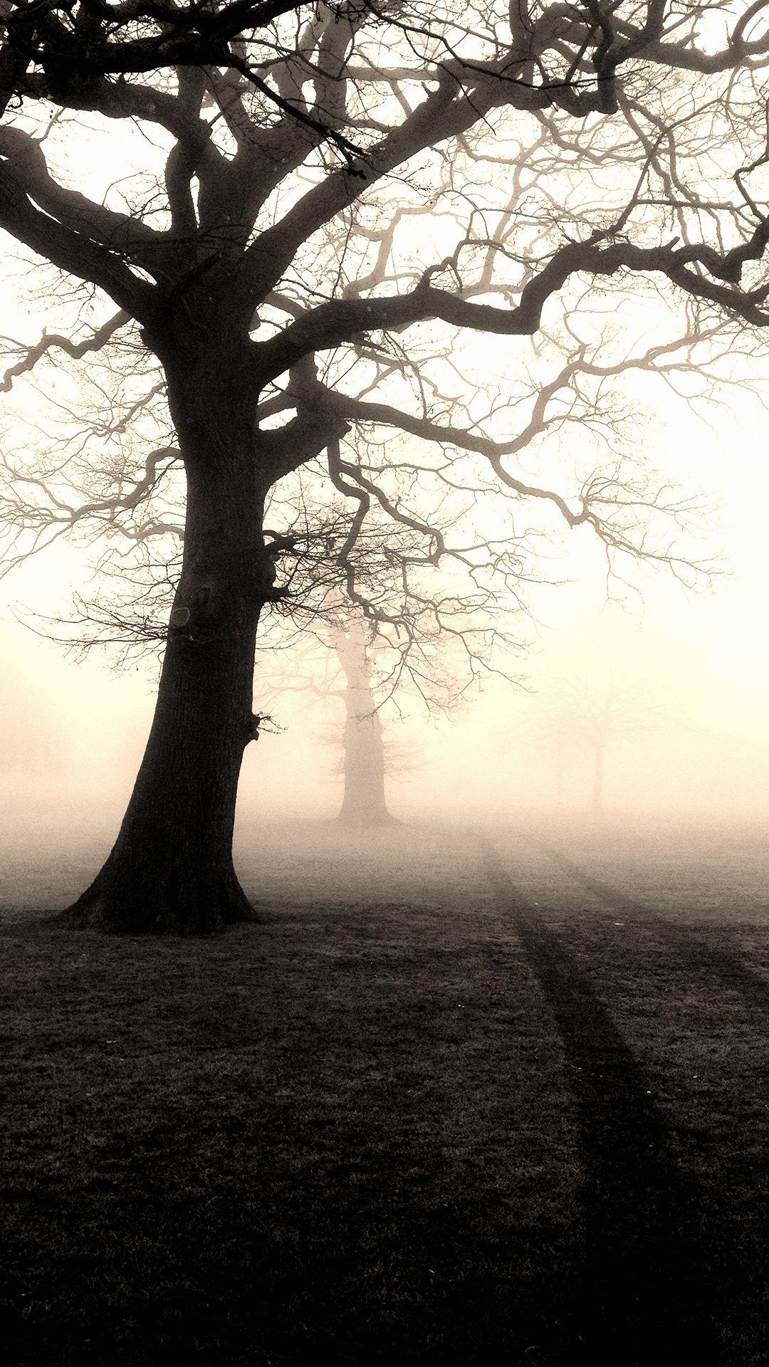 Phone Horror Wallpapers - Top Free Phone Horror Backgrounds ...