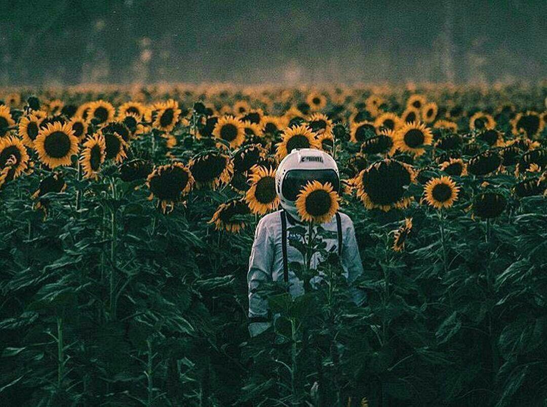 Astronaut Flower Wallpapers - Top Free Astronaut Flower Backgrounds ...